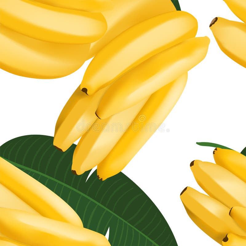 Trendy Seamless Pattern with Realistic Banana Bunch and Tropical Leaves ...