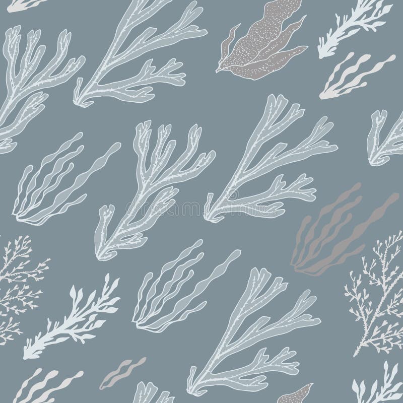 Trendy Summer Seaweed Design. Stock Illustration - Illustration of ...