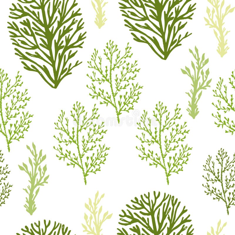 Trendy Summer Seaweed Design. Stock Illustration - Illustration of ...