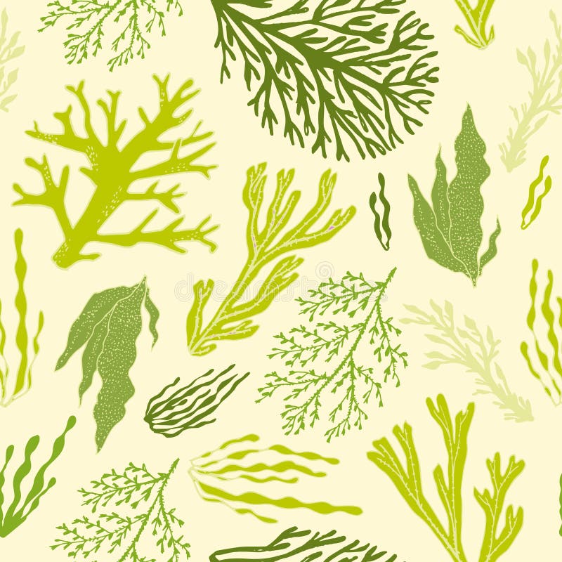 Trendy Summer Seaweed Design. Stock Illustration - Illustration of ...