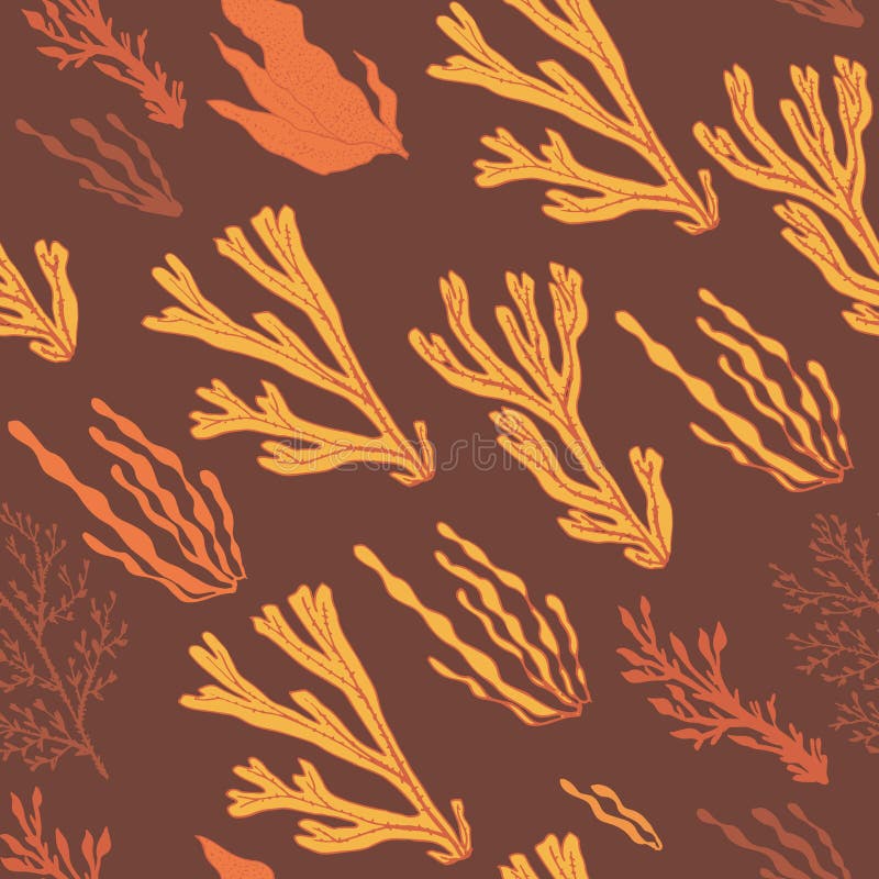 Trendy Summer Seaweed Design. Stock Vector - Illustration of drawing, decor: 89585041