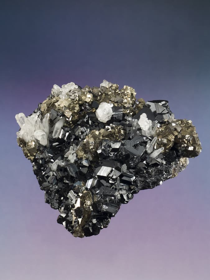 Trepca 1 Picture. Image: 2638575