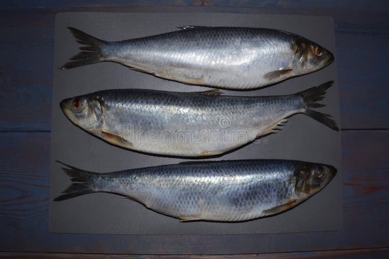 Tres arenques frescos foto de archivo. Imagen de bocado - 19070124