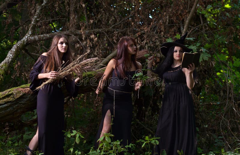 Tres brujas en bosque imagen de archivo. Imagen de modelo - 58119641