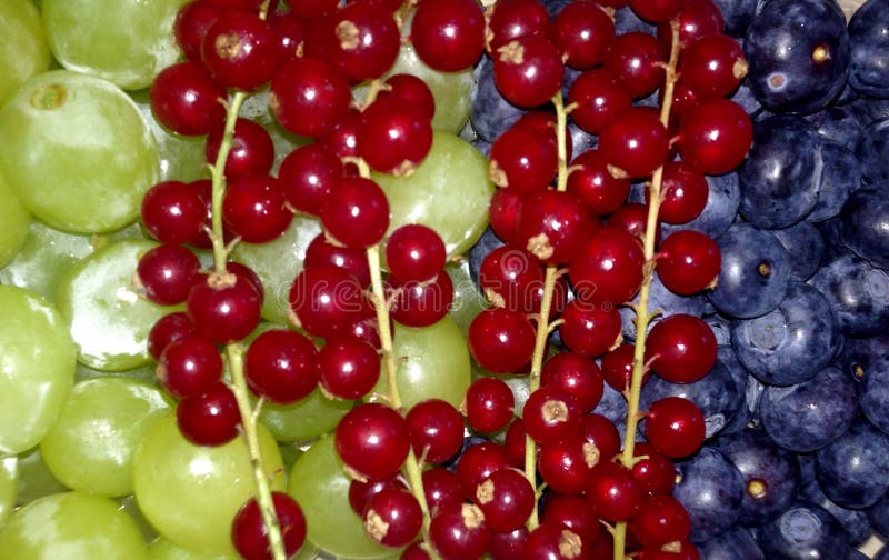 Tres frutas imagen de archivo. Imagen de frutas, éstos - 84601083