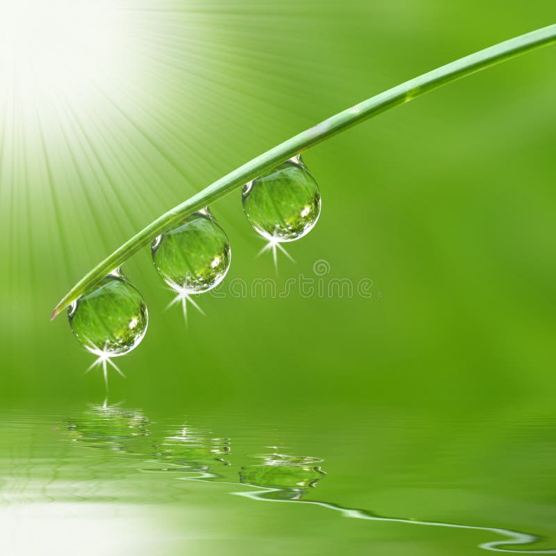 Tres gotas de rocío foto de archivo. Imagen de espejo - 9434250