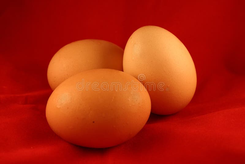 Tres huevos en blanco imagen de archivo. Imagen de fondo - 44150267