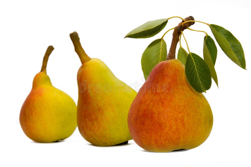 Tres peras imagen de archivo. Imagen de producto, cubo - 2895779