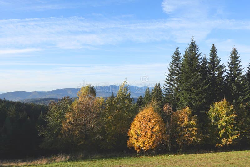 Tress and Mountains in Autumn Landscape Poland Stock Image - Image of ...