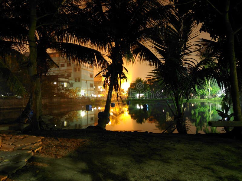 Tress at night stock photo. Image of long, night, lightlandscape - 80933024