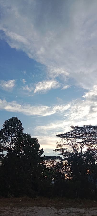 Tress and Sky As the Evening Aproaches Stock Image - Image of evening ...