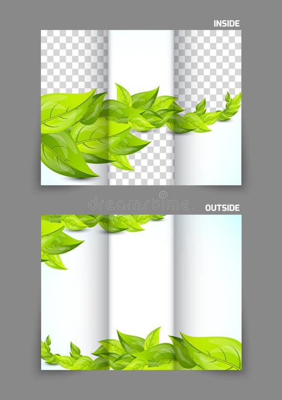 Tri fold brochure stock vector. Illustration of leaf - 43308481