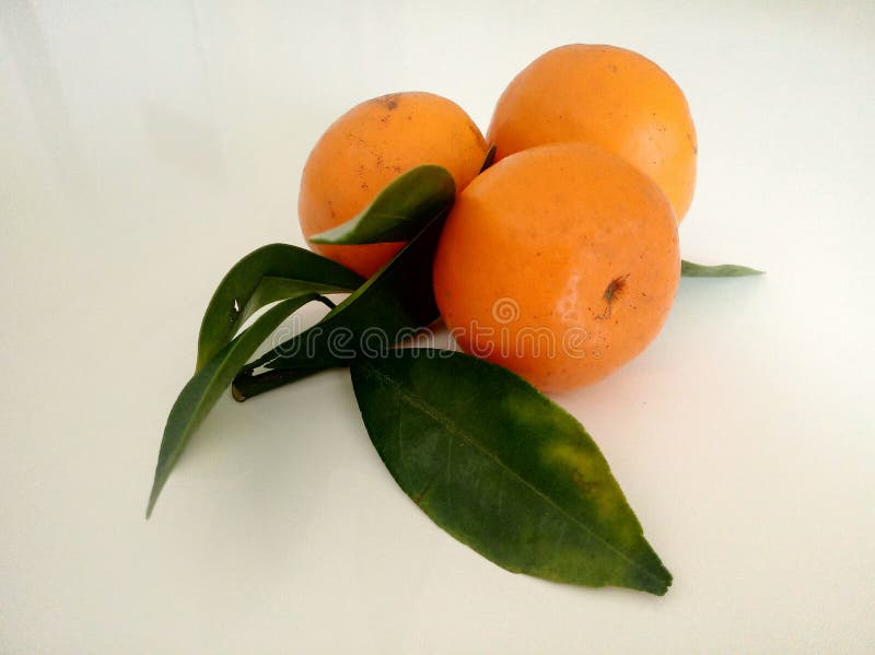 Tri Orange on the Table for You Stock Image - Image of jeruk, rental ...