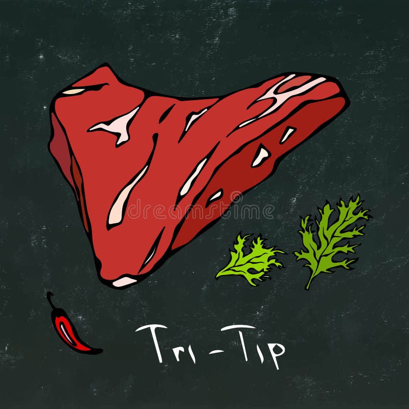 Tri-Tip Steak Cut Vector Isolated on Chalkboard Background Stock ...
