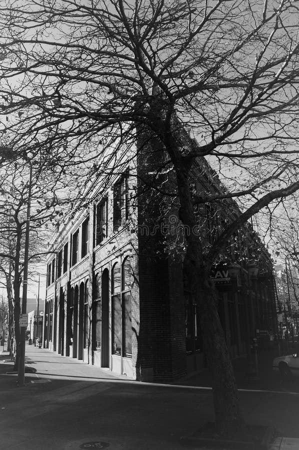 Triangle Building stock photo. Image of black, nature - 46939798