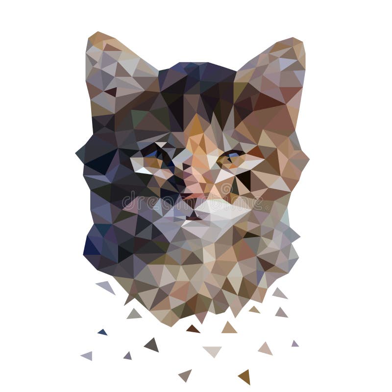 Triangle Cat. Color Abstract Illustration Stock Vector - Illustration ...