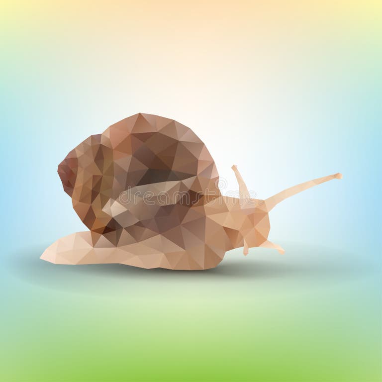 Triangle garden snail stock vector. Illustration of white - 42815295