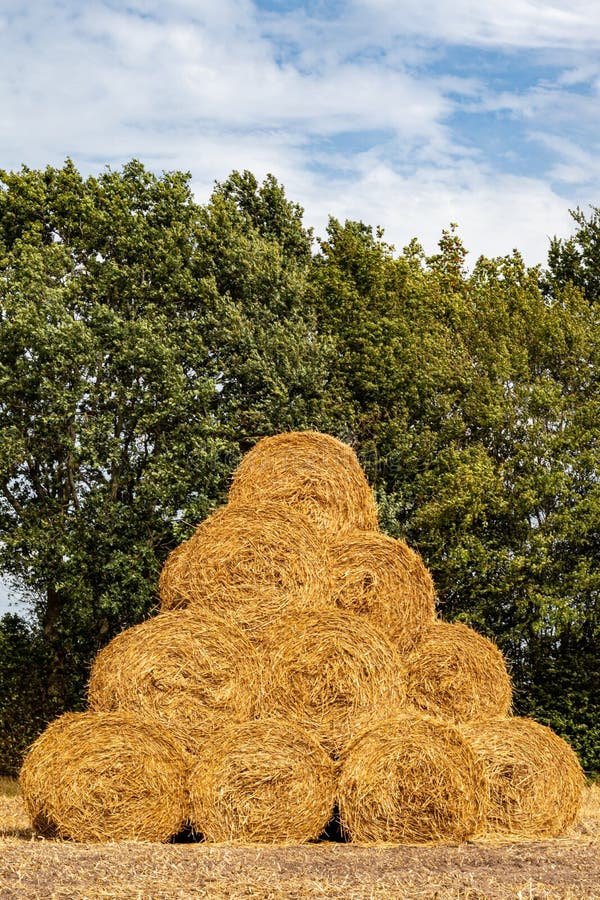 176 Hay Triangle Stock Photos - Free & Royalty-Free Stock Photos from ...