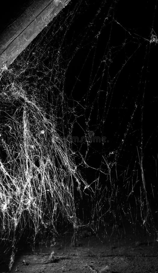 Spider Web Triangle Stock Photos - Free & Royalty-Free Stock Photos ...