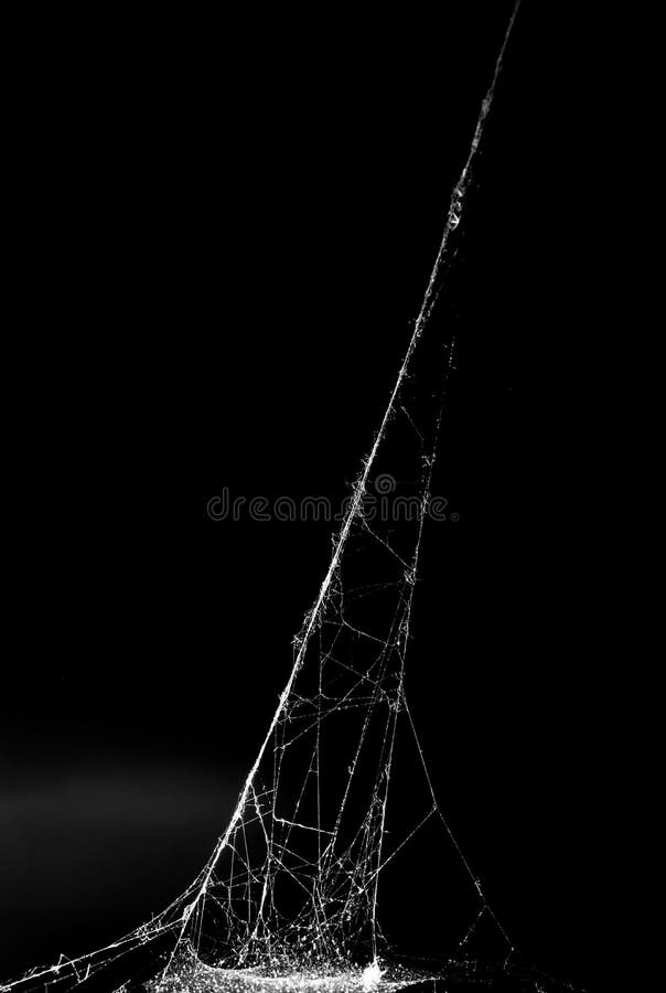 Triangle Horror Cobweb or Spider Web Isolated on Black Background ...
