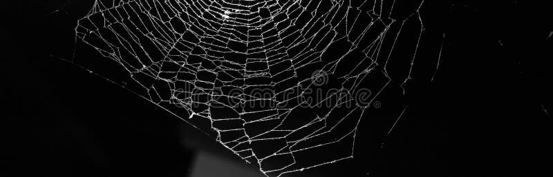 108 Spider Web Triangle Stock Photos - Free & Royalty-Free Stock Photos ...