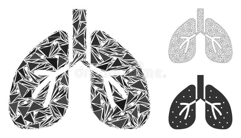 Triangle Mosaic Lungs Icon and Vector Mesh 2D Model Stock Illustration ... Triangle Mosaic Lungs Icon and Vector Mesh 2D Model Stock Illustration ...