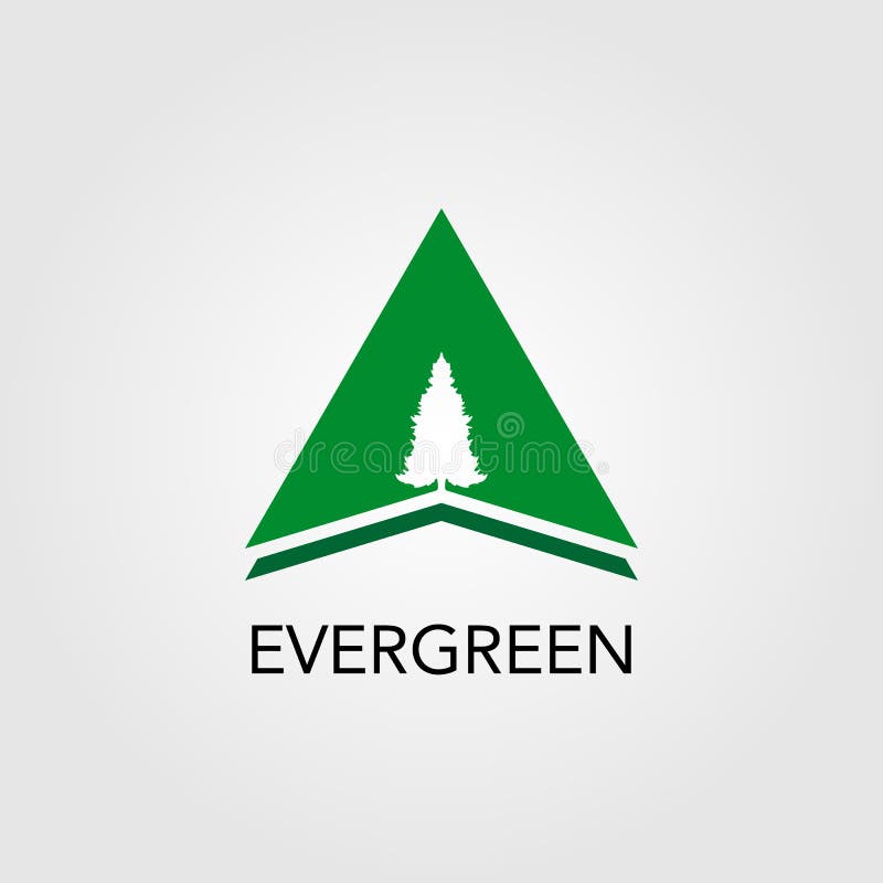 Triangle Pine Tree or Fir Logo , Evergreen Vector Stock Vector ...