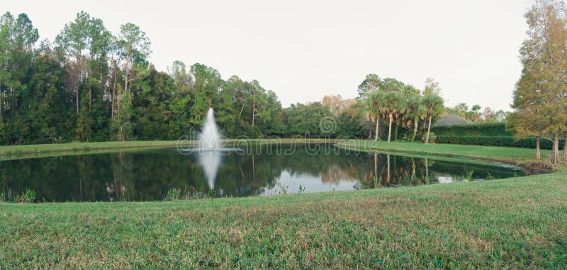 A community pond and tree stock image. Image of global - 165236819