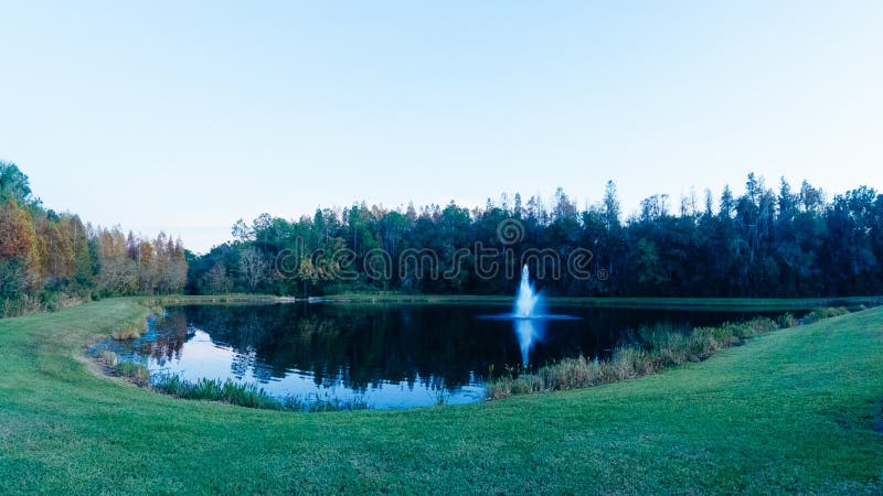 A community pond and tree stock image. Image of global - 165236847