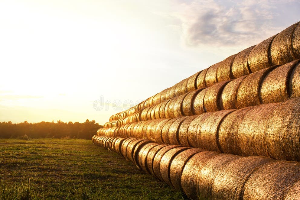 Triangle Pyramid from Pressed Bales of Straw Reels Stock Image - Image ...