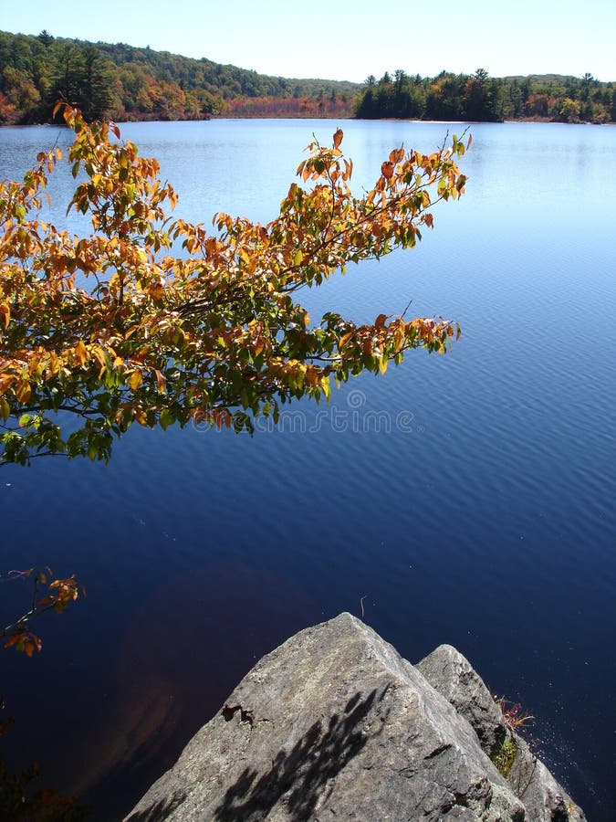 Triangle Shape Stone Ashore. Small Lake In Foliage Time Stock Image ...