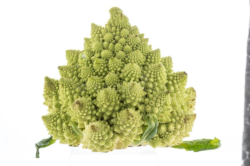 149 Vegetables Shape Triangle Stock Photos - Free & Royalty-Free Stock ...