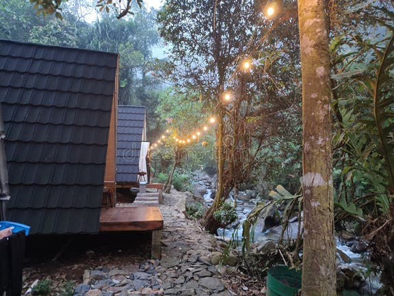 Triangle Wood House at Forest River Side Stock Photo - Image of forest ...