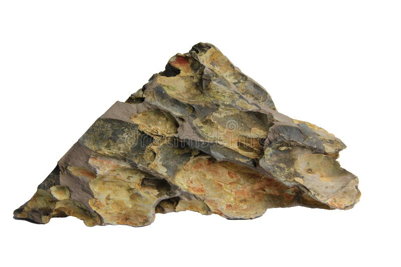 Triangular Dragon Stone with Deeply Carved Textures and Natural Earthy ...