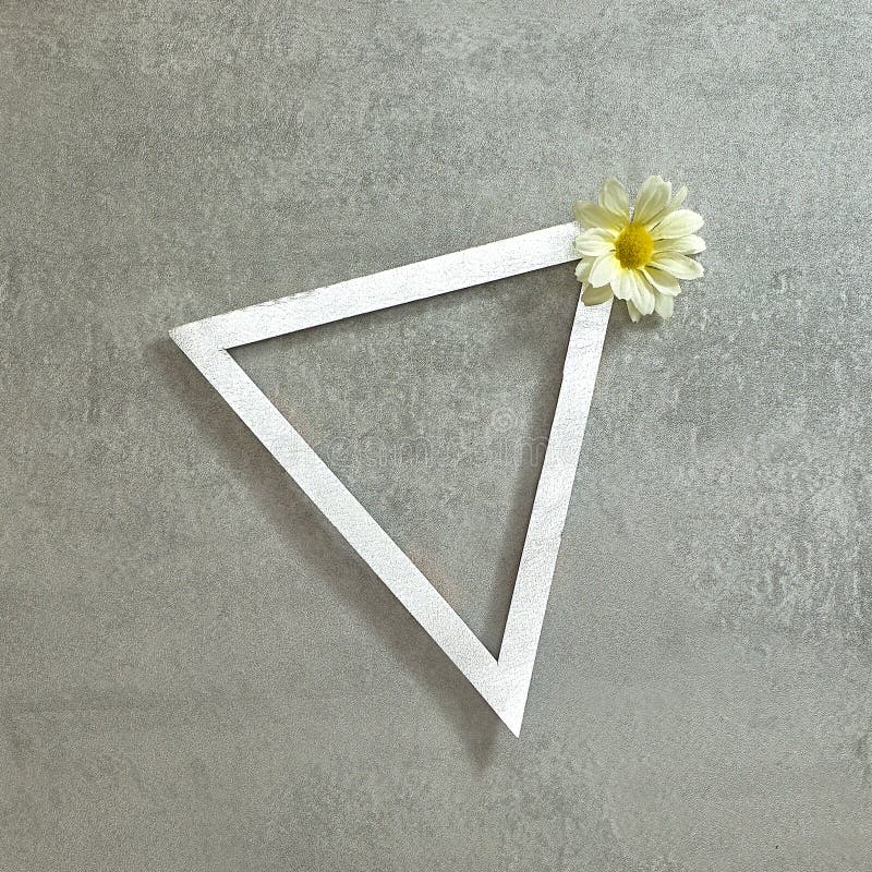 Triangular Frame with White Flower in the Corner. Gray Concrete ...