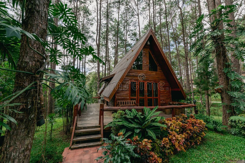 Triangular House Built from Wood in the Forest Stock Image - Image of ...