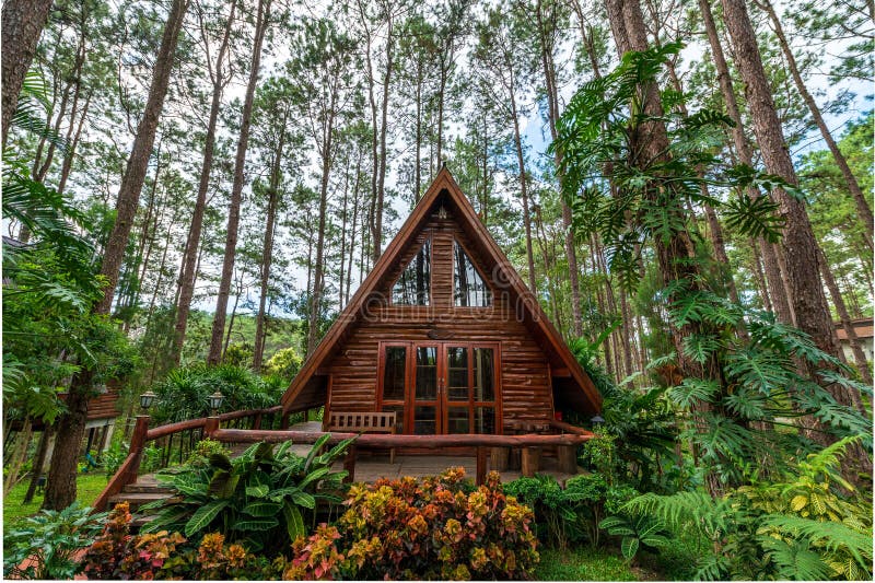 Triangular House Built from Wood in the Forest Stock Image - Image of ...