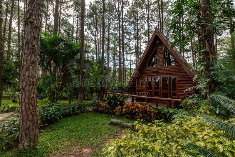 Triangular House Built from Wood in the Forest Stock Photo - Image of ...
