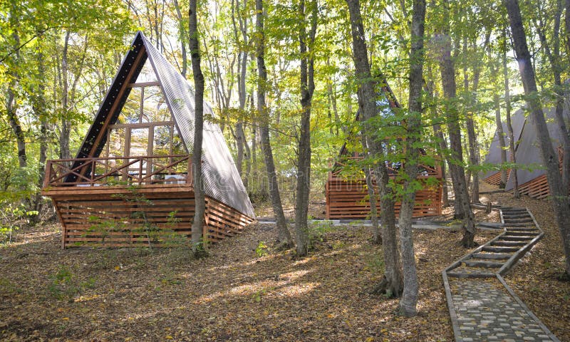 Triangular House Made of Wood in the Forest. Eco Hotels in the ...