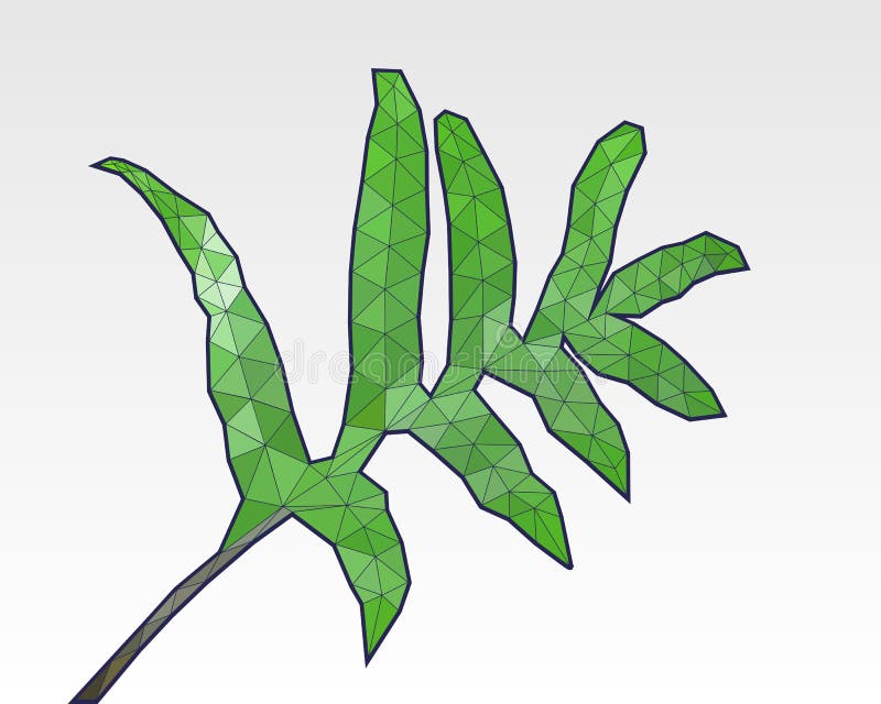 Triangular Low Poly Fern Leaf Vector Illustration Stock Vector ...