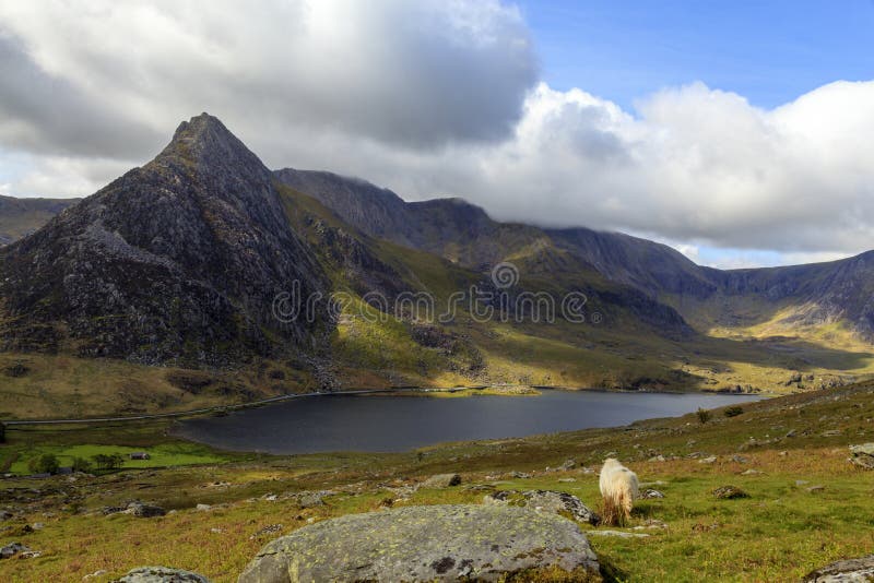 The Triangular Peak of Tryfan Stock Image - Image of craggy, boulder ...