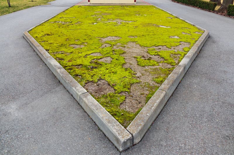 A Triangular Plot of Land in a Park or Street Surrounded by a Concrete ...