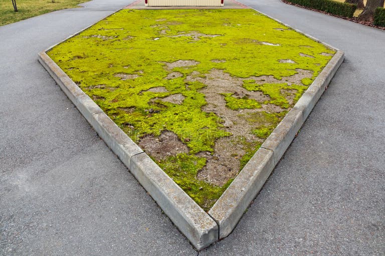 A Triangular Plot of Land in a Park or Street Surrounded by a Concrete ...