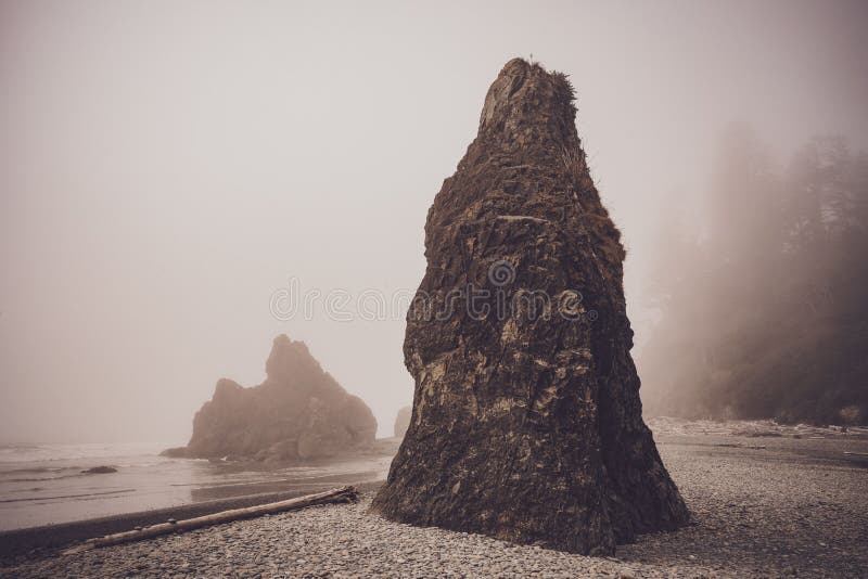Triangular Rock Formation on Ruby Beach on Foggy Day in Washington ...