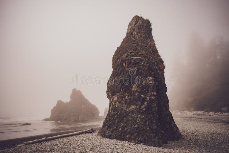 Triangular Rock Formation on Ruby Beach on Foggy Day in Washington ...