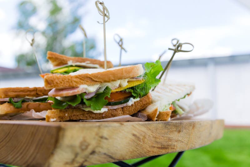 Triangular Shaped Sandwich with Ham, Vegetables and Mayonnaise on a ...