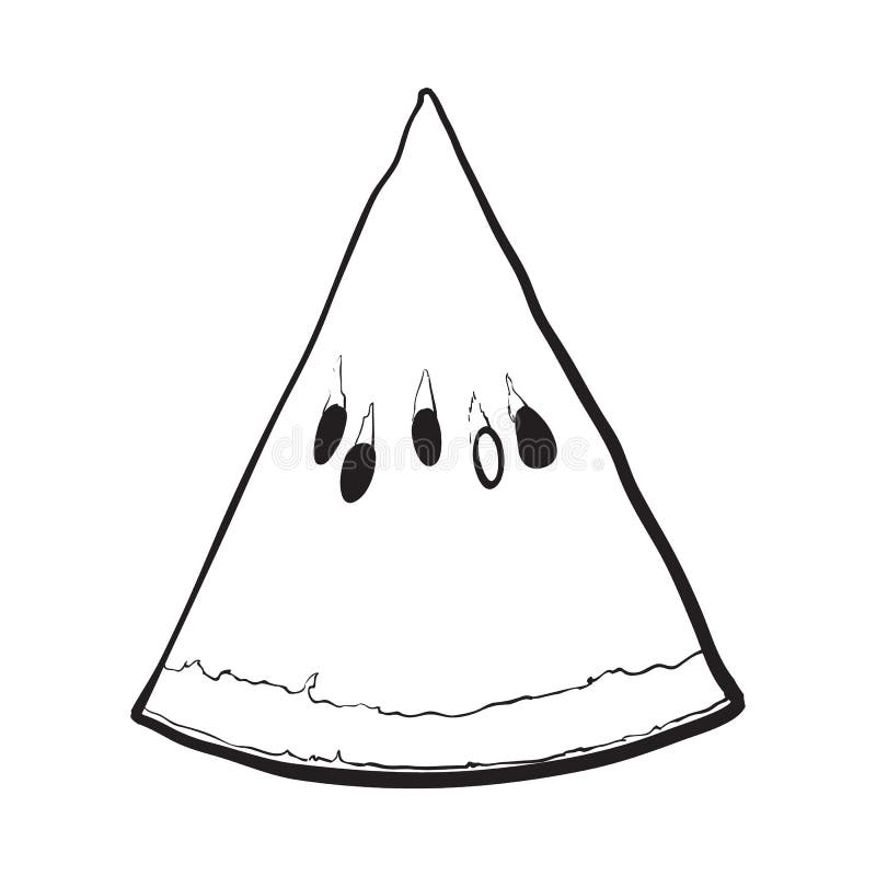 Triangular Slice Of Ripe Watermelon Sketch Style Vector Illustration