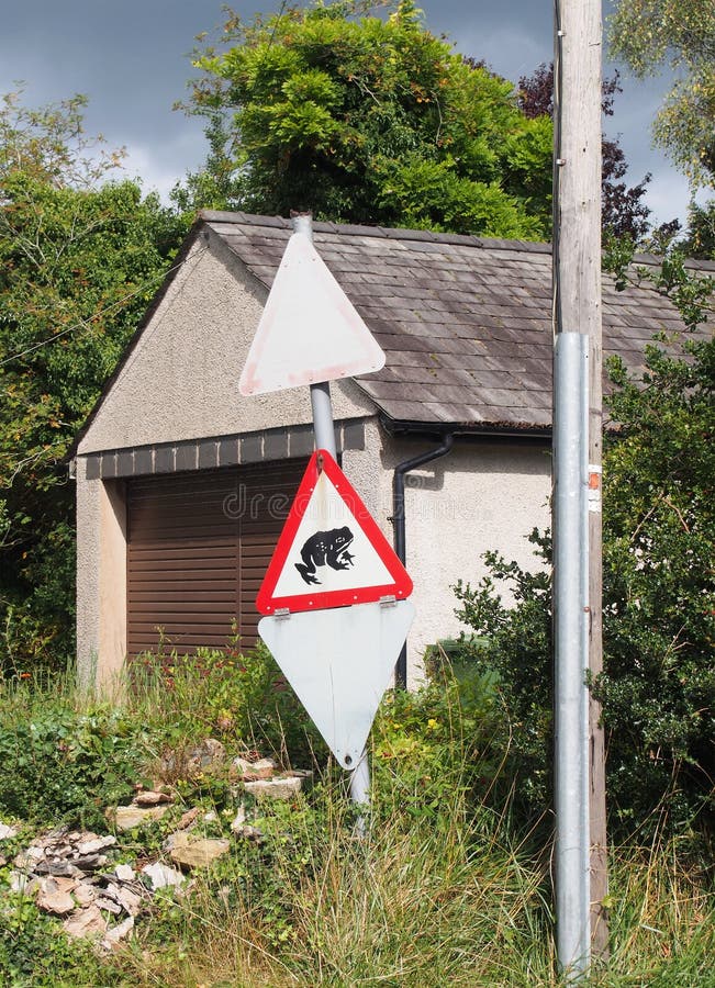 Triangular Toad Crossing Traffic Warning Sign on a Country Road in ...