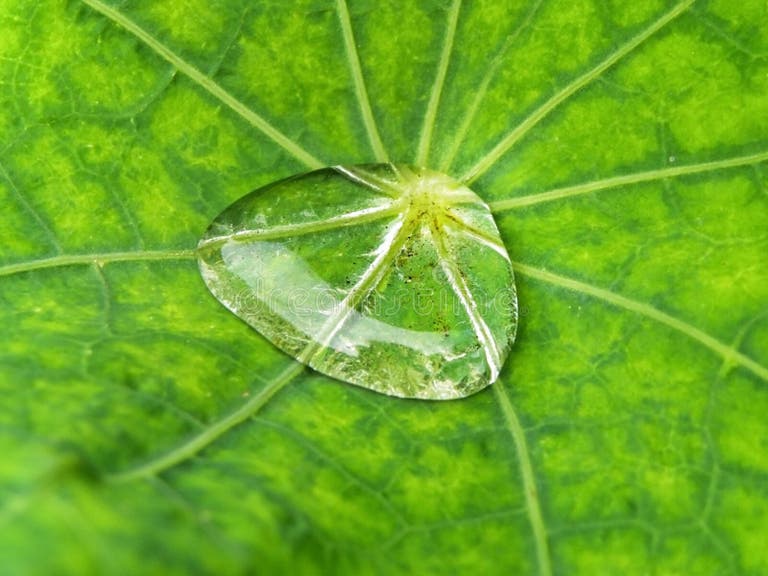 Triangular water drop stock image. Image of water, large - 59121929