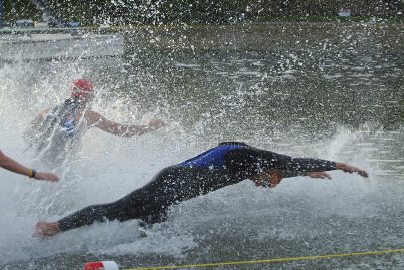 Triathlete s Dive stock image. Image of diving, triathalon - 19807783